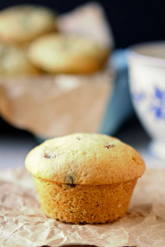 Orange Craisin Muffins (Simple & Tasty Recipe) - Heavenly Home Cooking